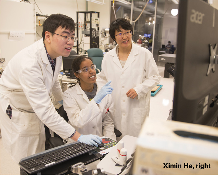 2015-2016 Faculty awards and research highlights