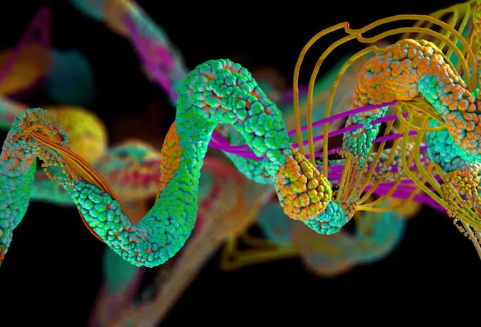 A new approach has been created to create a chain of artificial genes ...